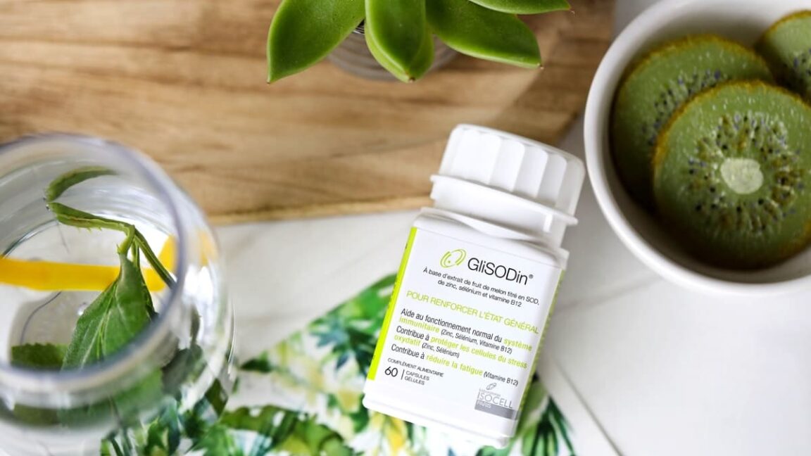 Navigating Skies and Service: The Remarkable Journey of Donia Rassas ...